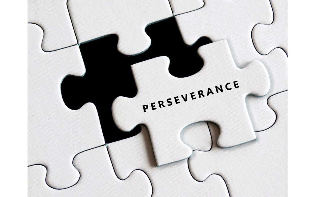 Leadership In Action: Team Perseverance - RCA Change Advisors